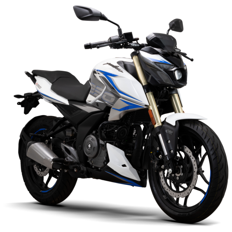 Rouser N250 – Bajaj